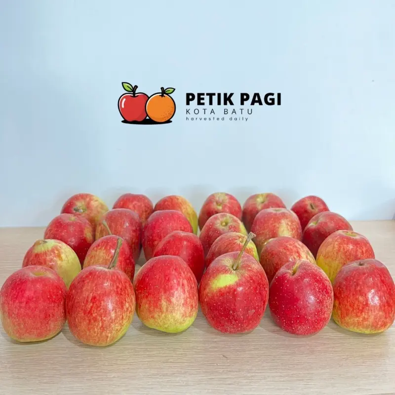Apel Ana Kecil Cherry Mini 1kg Isi 24-30 Buah, Rasa Asam Manis, *Khusus ...