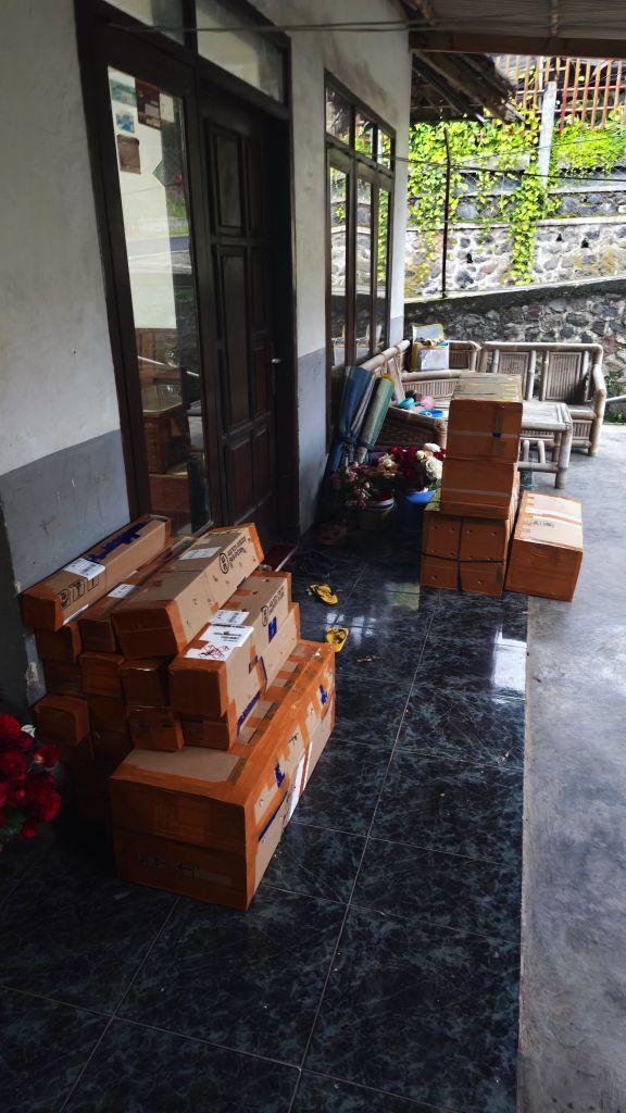 Pikok Potong Hidup - Isi Lebih dari 30 Batang untuk Dekorasi atau ...